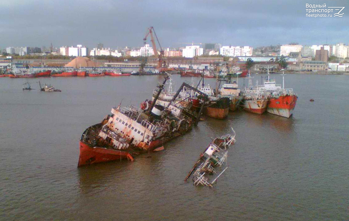 Atila-2 — Фото — Водный транспорт